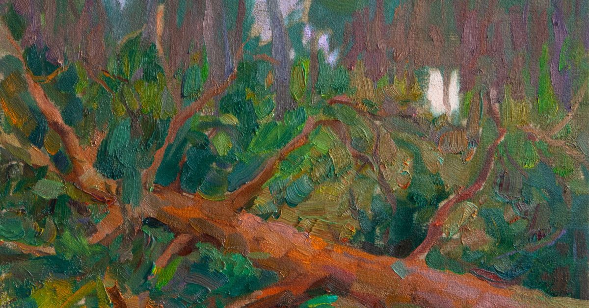 Fallen Tree – Elena Morozova